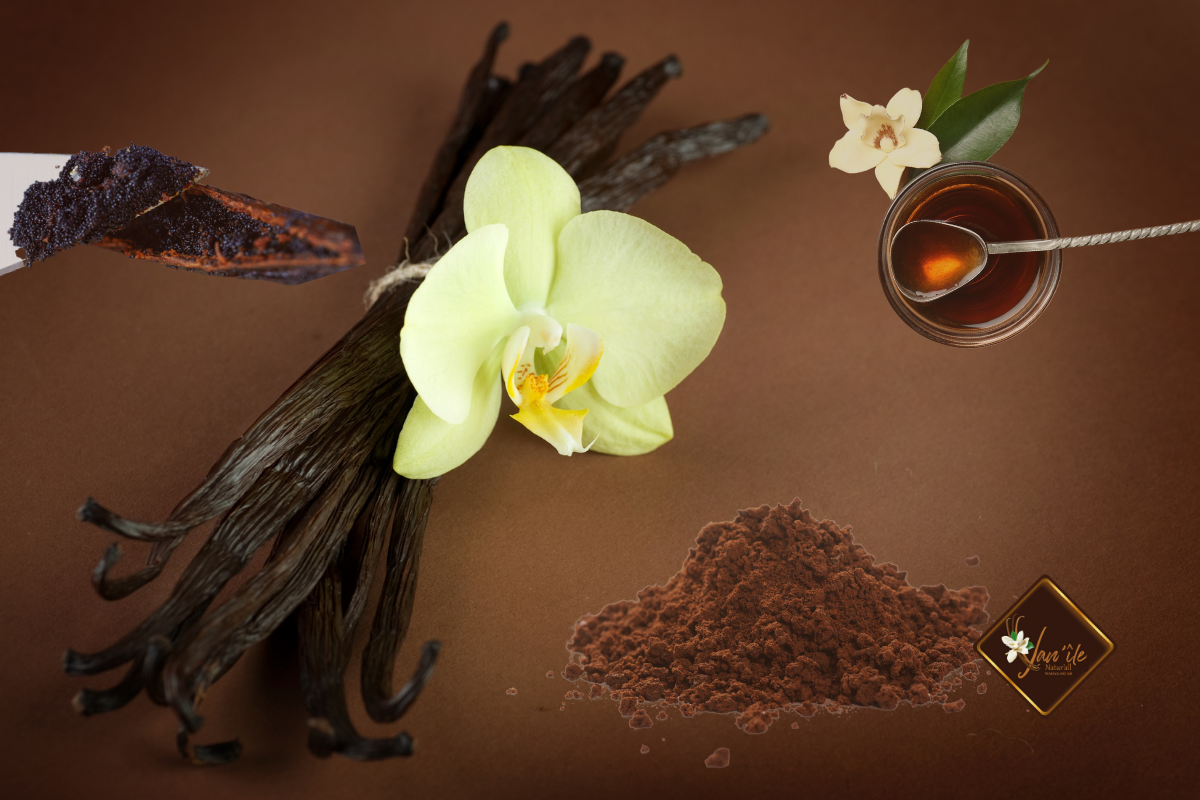 Types de vanille : origines, formats, qualité et forme